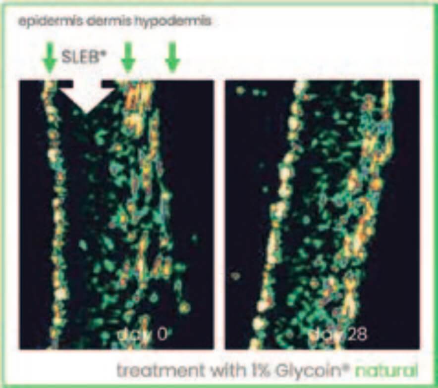 Glycoin® natural • EURO COSMETICS Magazine