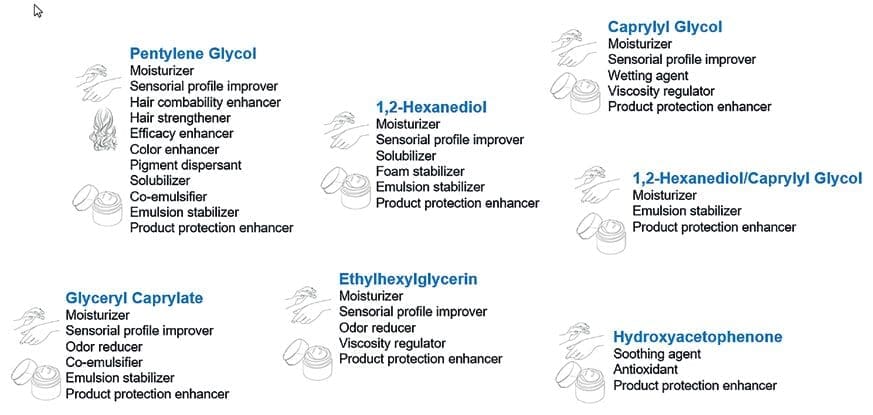 Modern Product Protection 2.0 - Green Multifunctionals • EURO COSMETICS ...